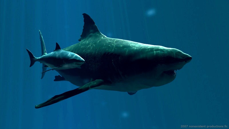 Mundo Pré-Histórico: Megalodonte