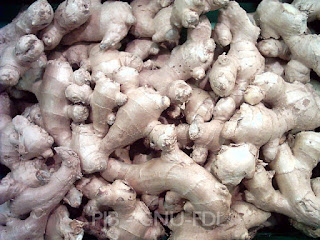 Mengenal Ciri Bangle dan Manfaatnya - Manfaat Buah Dan sayur