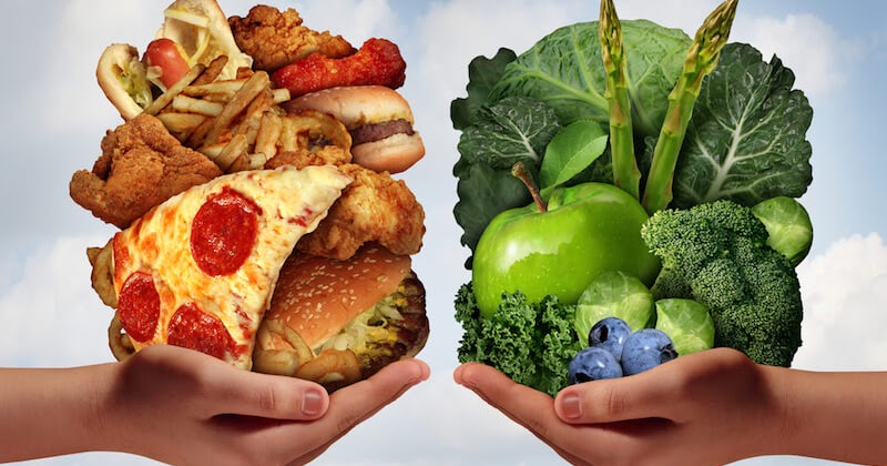 S.O PIENS, MD: Food Forms The Body