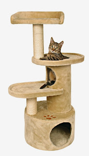 Shelly's Super Spiffy Stuff : Build Cat Scratching Tree