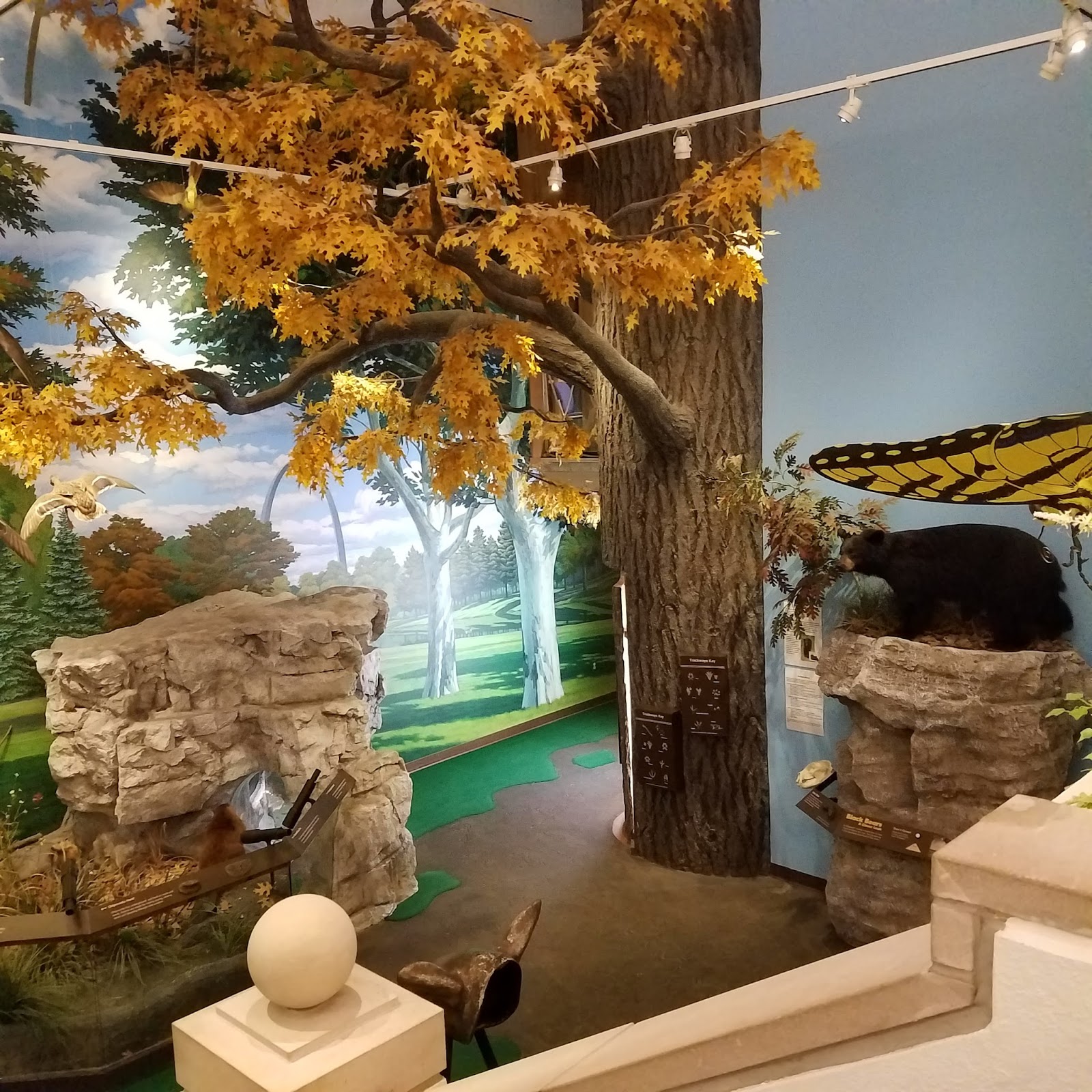 Play St. Louis: Powder Valley Nature Center, Kirkwood