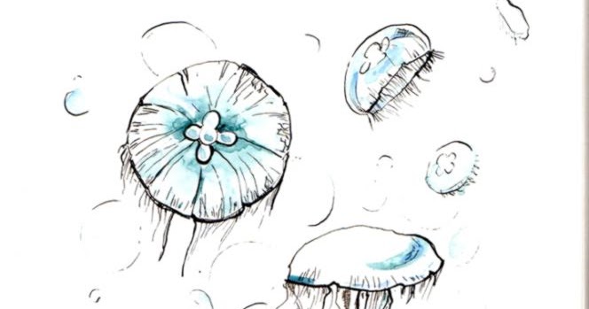 Moon Jellyfish Drawing | Wallpapers Gallery