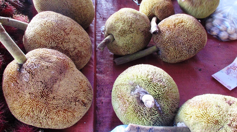 KINABALU: FRUIT SEASON IN SABAH