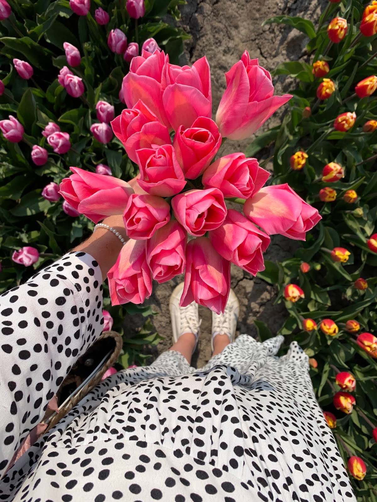 Travel // Visiting the Tulip Fields, Holland - Roses and Rolltops