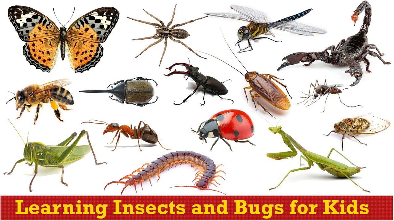 From PUA to eternity