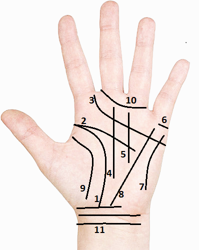 LINES ON HAND IN HINDI (HATH MEIN REKHA KE NAAM) ~ INDIAN PALM READING ...