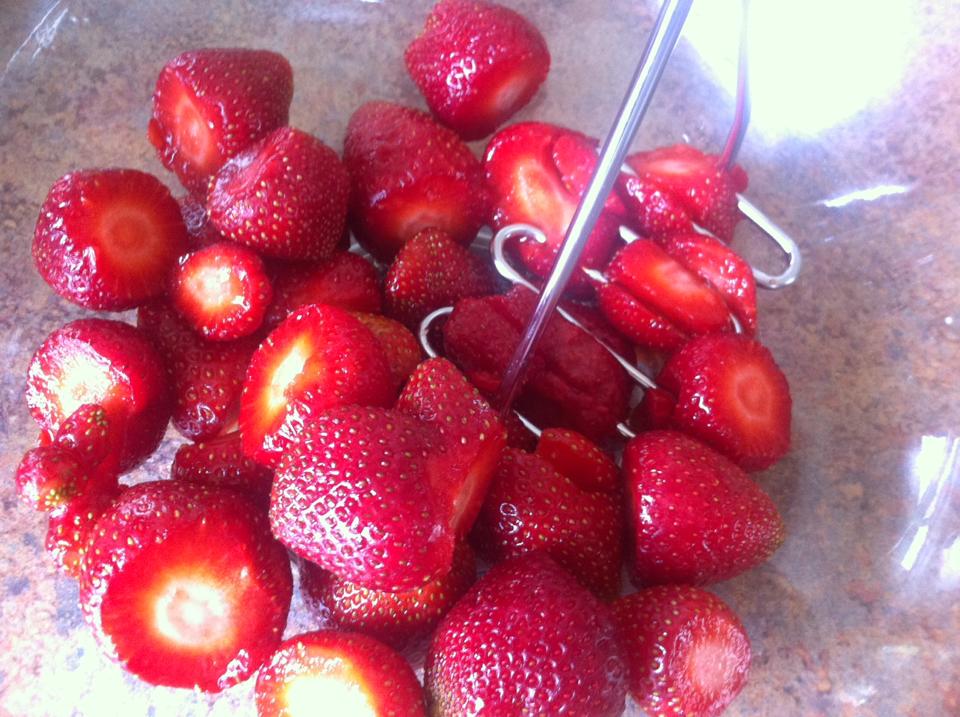 Appalroot Farm: A Mountain Wedding Series : Mamaw's Strawberries