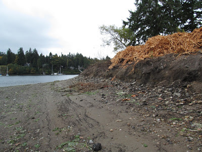 Gravel Beach: Port Madison Bay