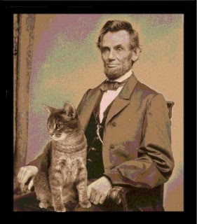 Datos curiosos sobre los gatos. | Hello Kary ♥