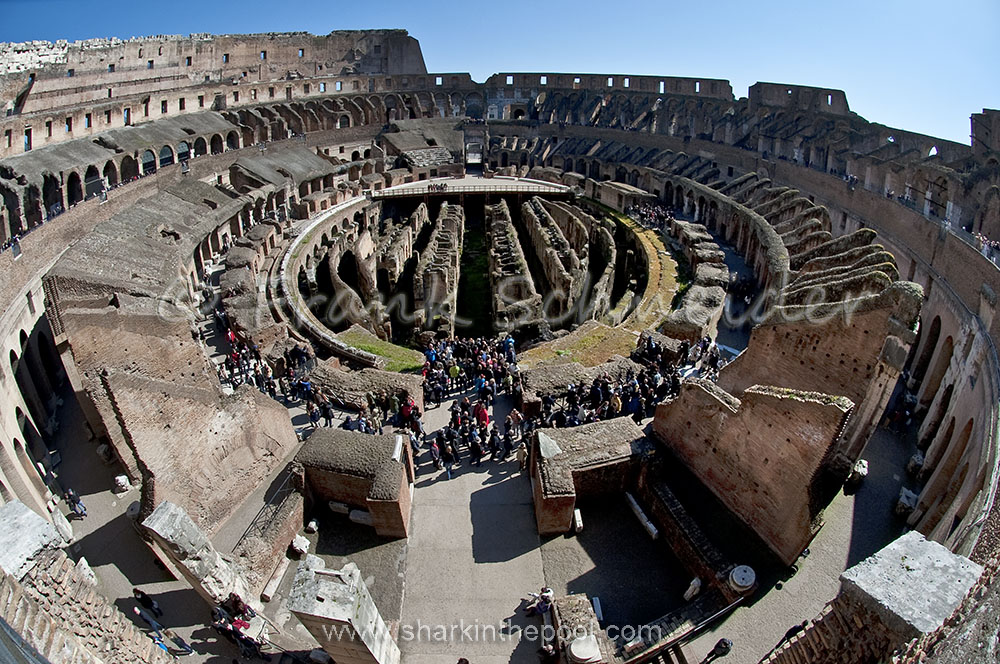 Latín 4ºB: EL ANFITEATRO FLAVIO (El coliseo de Roma)