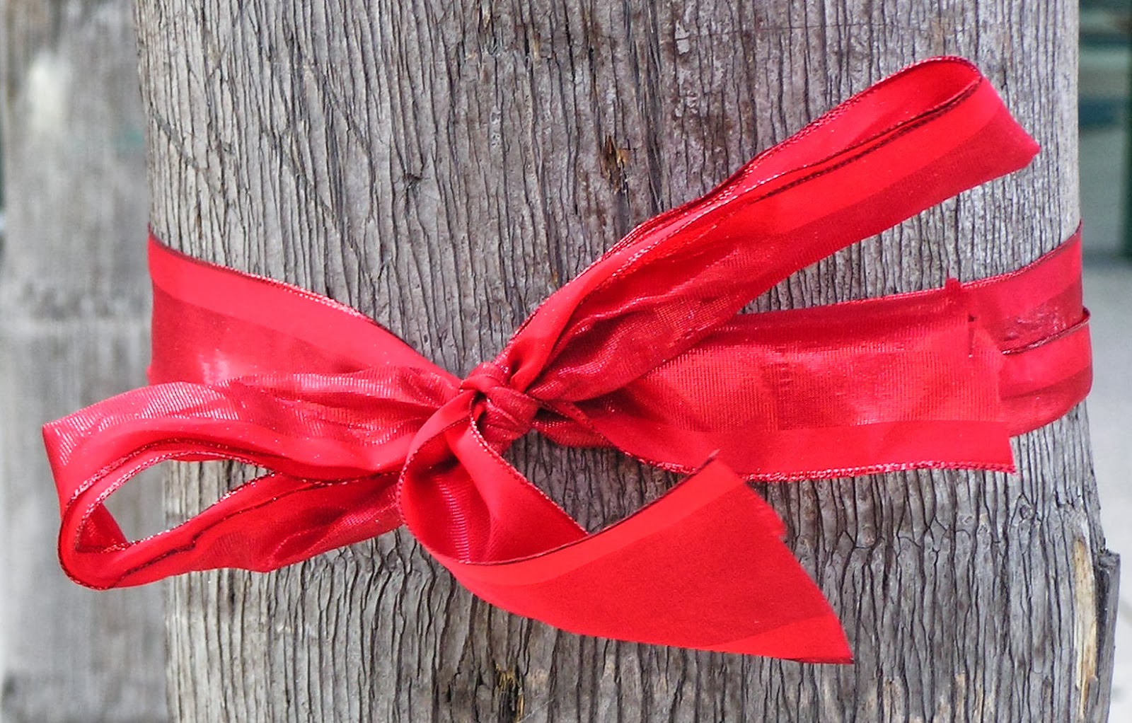 Nimco, Inc. Blog: More Fun Ideas for Red Ribbon Week!