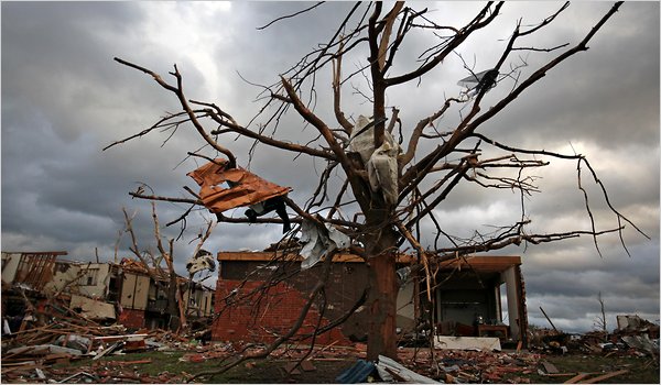 The Turner Report: Tree damage in Joplin tornado described in New York ...