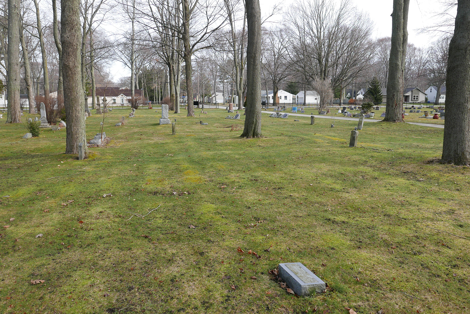 The 3rd Michigan Infantry: March 2017