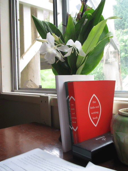 ANNETTE HUGHES - BOOKS & WRITING