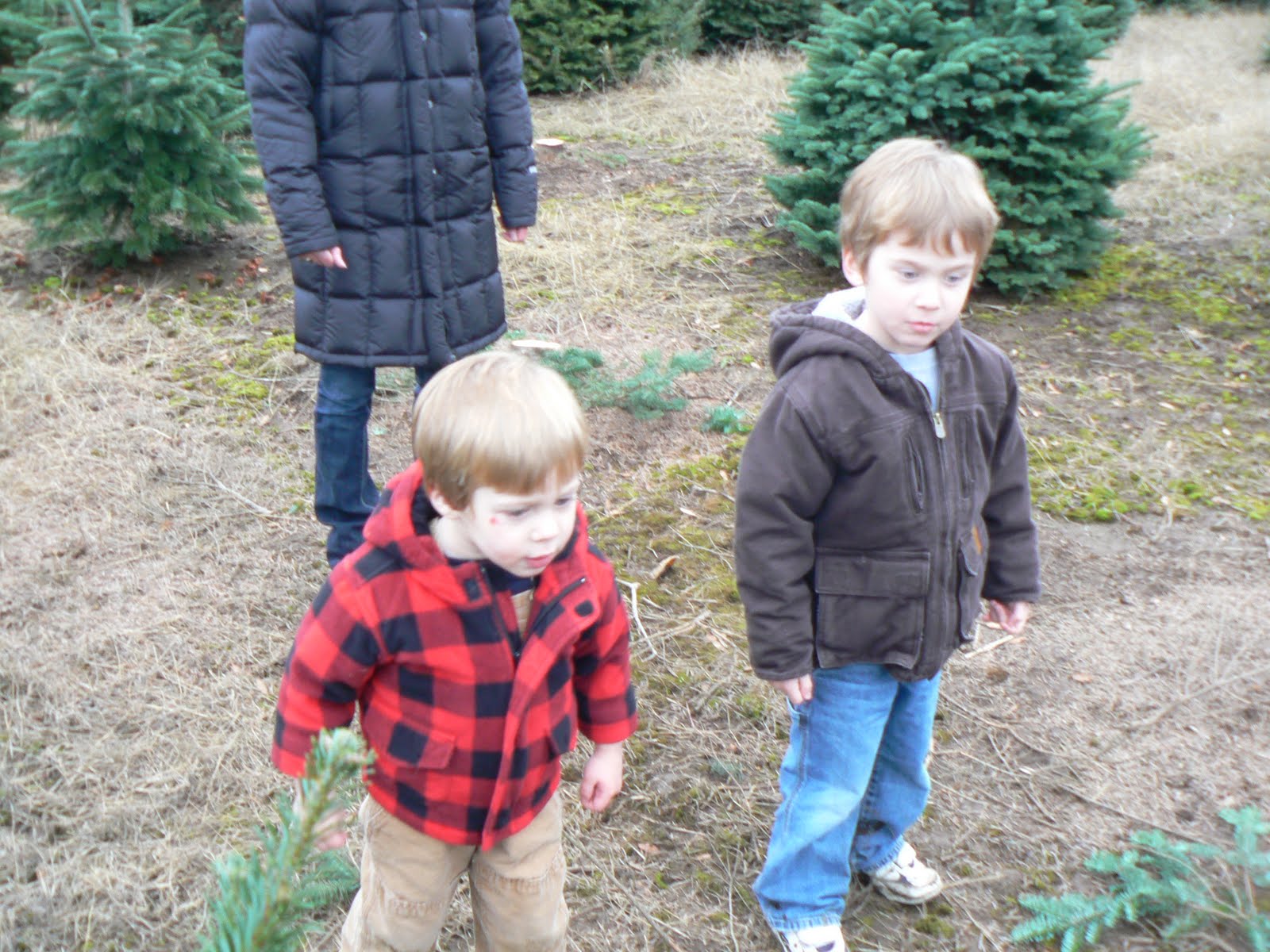 The McCluskey Family: 2011