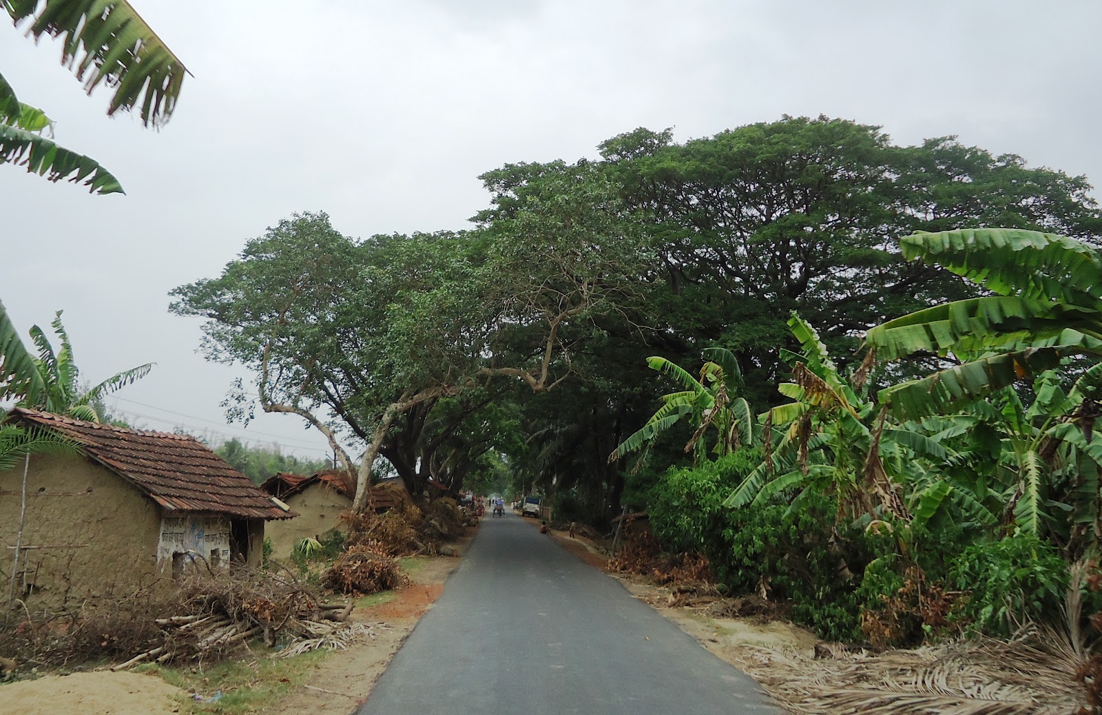Trip to Geonkhali - Haldia