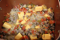 Deep South Dish: Shrimp Rotel Dip