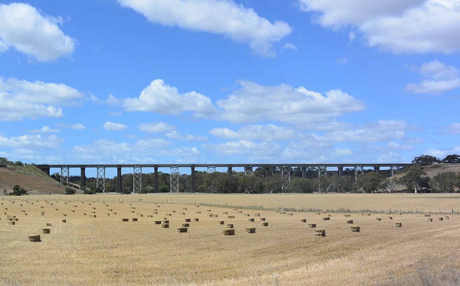 Barwon Blog: Still standing