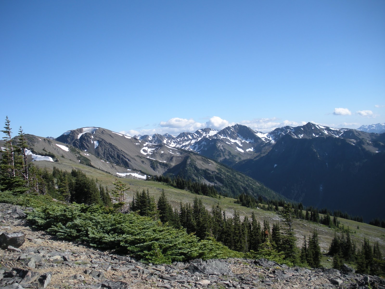 PAT NEAL WILDLIFE: Places On The Olympic Peninsula to Send People You ...