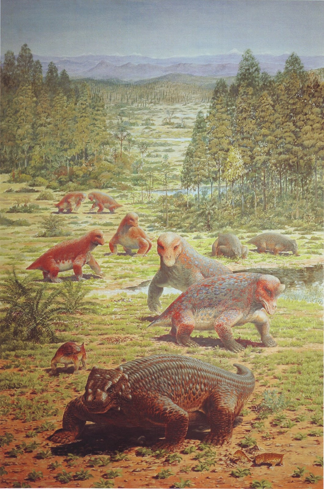 Gerhard Marx: Biography