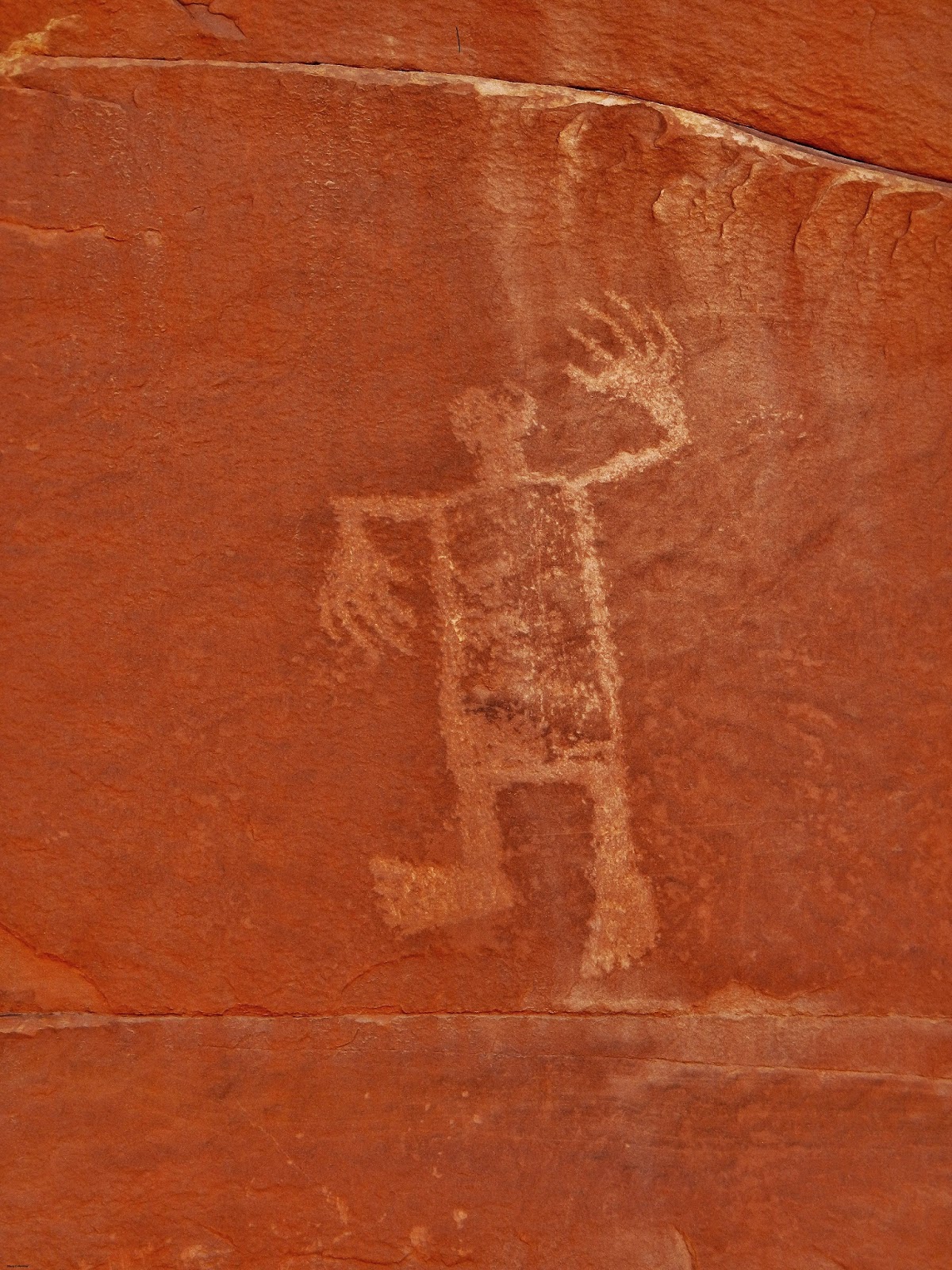 The Southwest Through Wide Brown Eyes: Wolfman Panel and Ruins - Comb ...