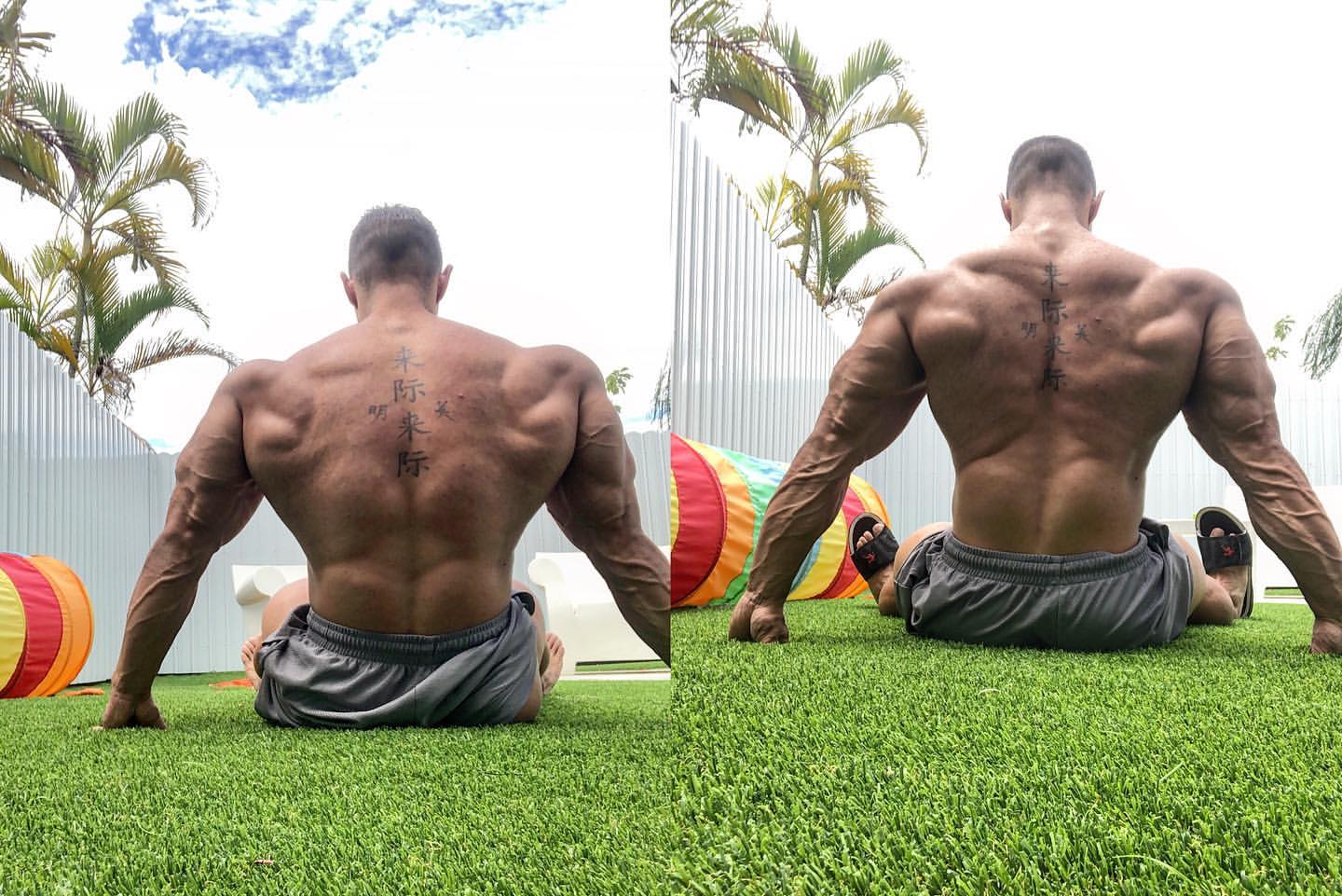 the beauty of male muscle: Ricardo