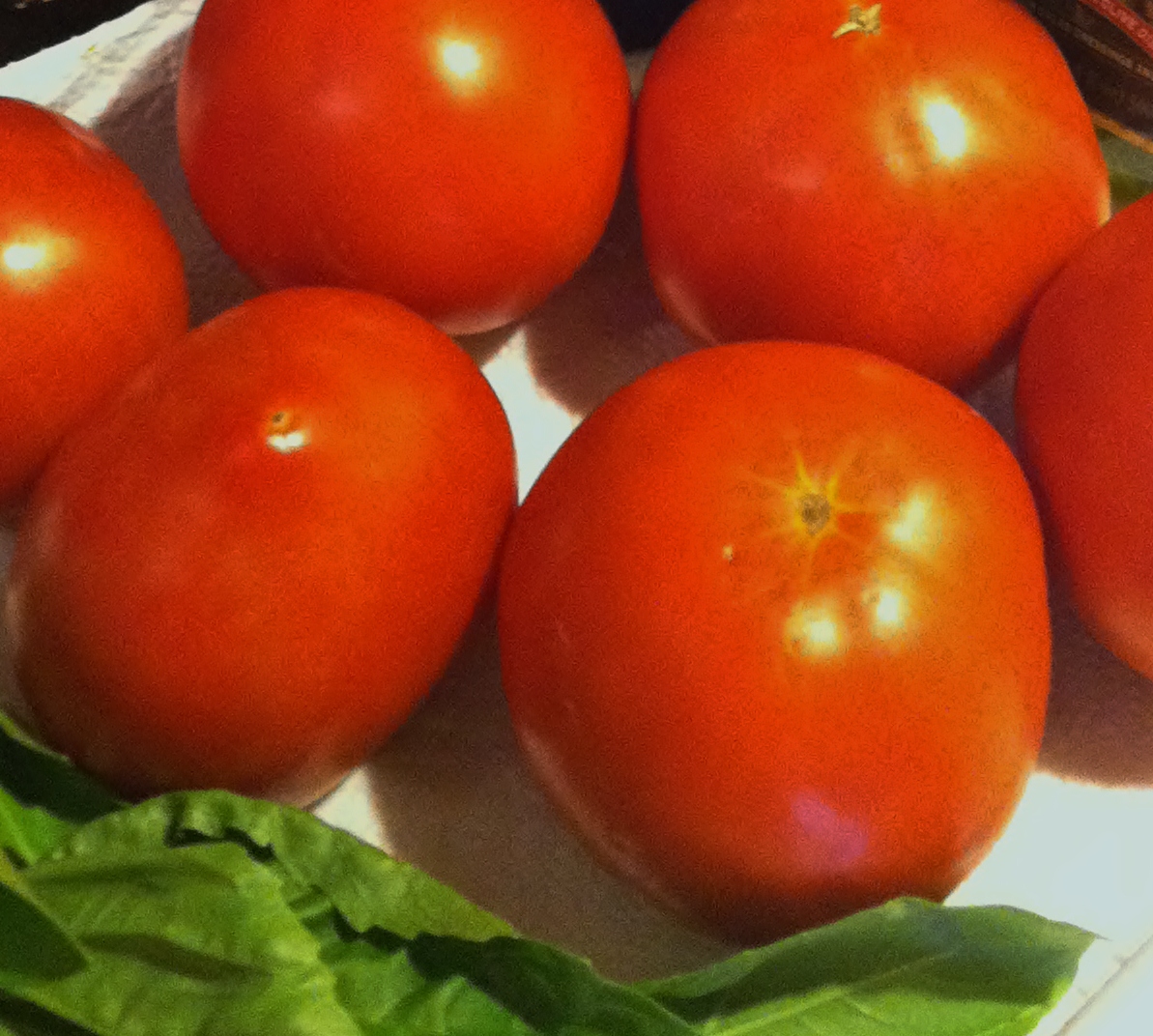 A Sunflower Life : Tomato Inspiration