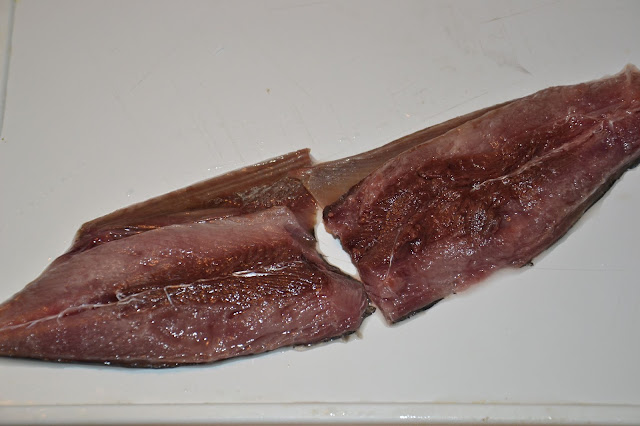 Oppdag Fisk!: Auxid/Bullet Tuna/Auxis Rochei Rochei (Saltvann)