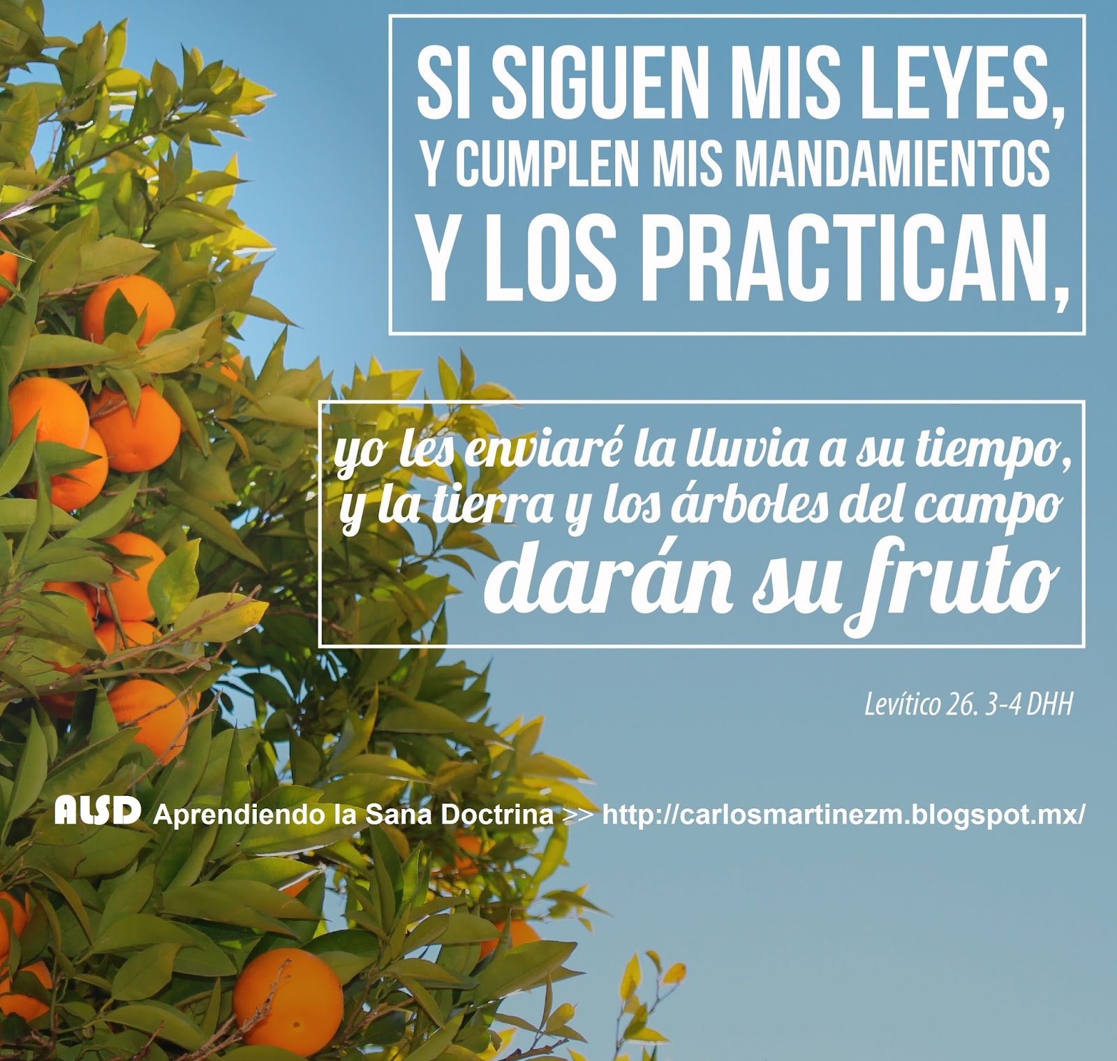 Aprendiendo la Sana Doctrina: Levítico 26:3-4