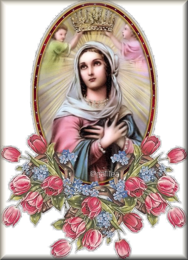 Santa María, Madre de Dios y Madre nuestra: Con la Puerta de la ...