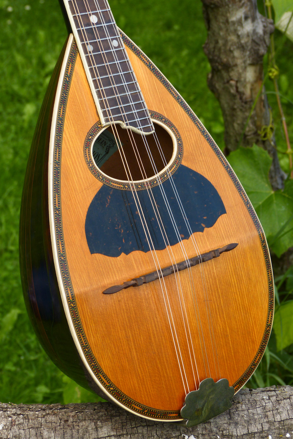 1910s Larson-made Ditson Victory Bowlback Mandolin