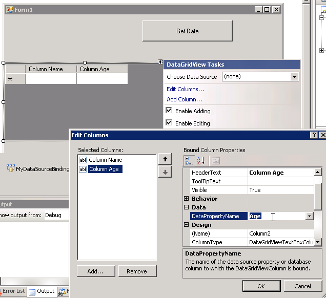 Programming Log Datagrid And Object Binding 3820