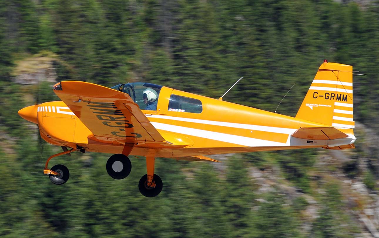 nhungdoicanh: American Aviation AA-1