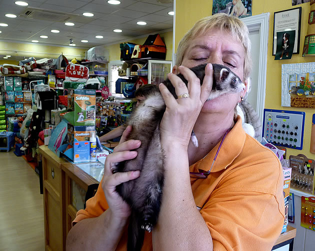 Luciano Rocha: ANIMAIS EXÓTICOS... DE ESTIMAÇÃO