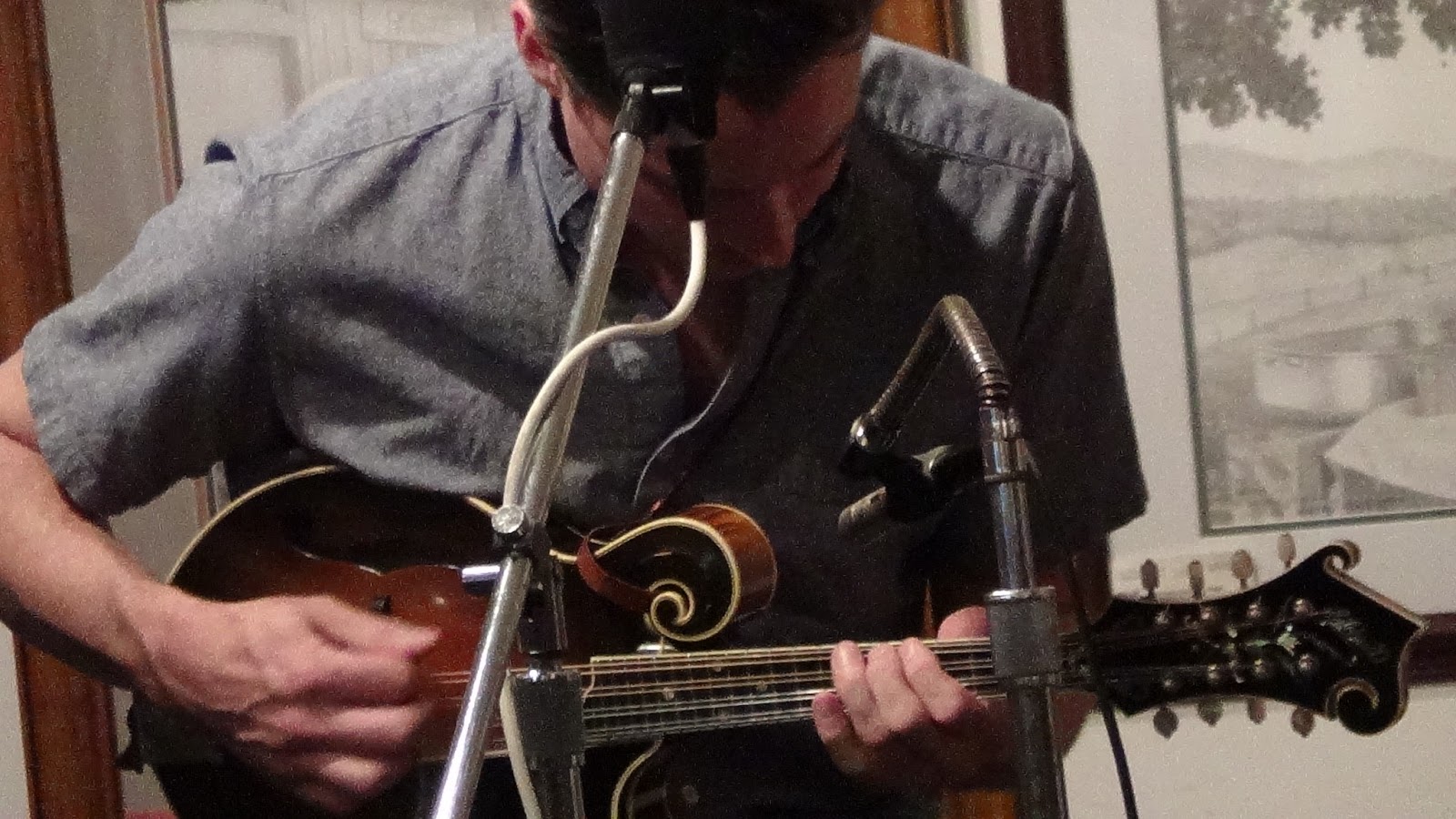 WATERFALL ROAD: DORI FREEMAN AND DAVID LONG SOUTHERN DUET