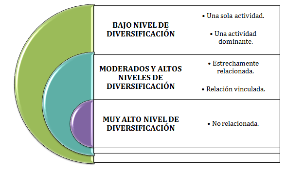 ESTRATEGIA DE DIVERSIFICACIÓN: NIVELES Y TIPOS DE DIVERSIFICACIÓN