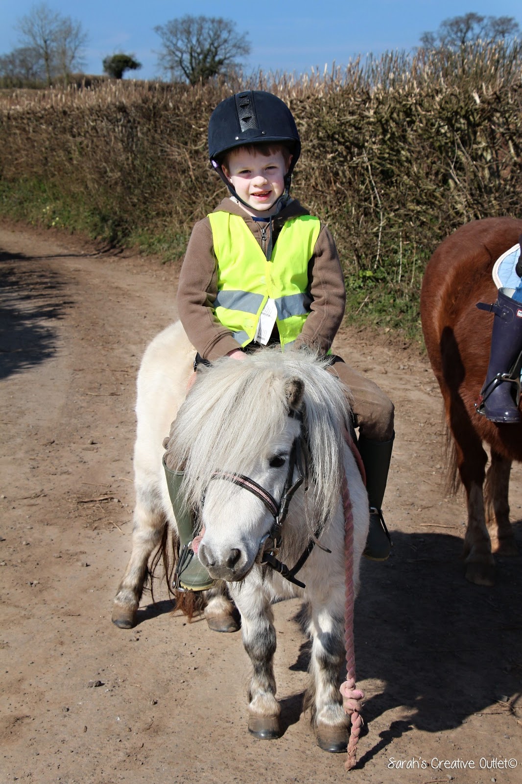 A Lovely Day For A Pony Ride. - Sarah's Creative Outlet