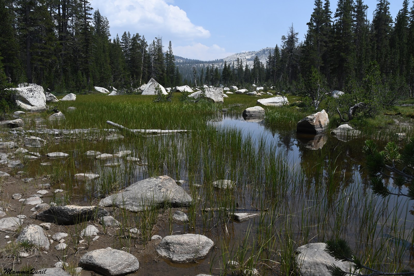 Mamma Quail Hiking California : Hiking Around the Dinkey Lakes Loop