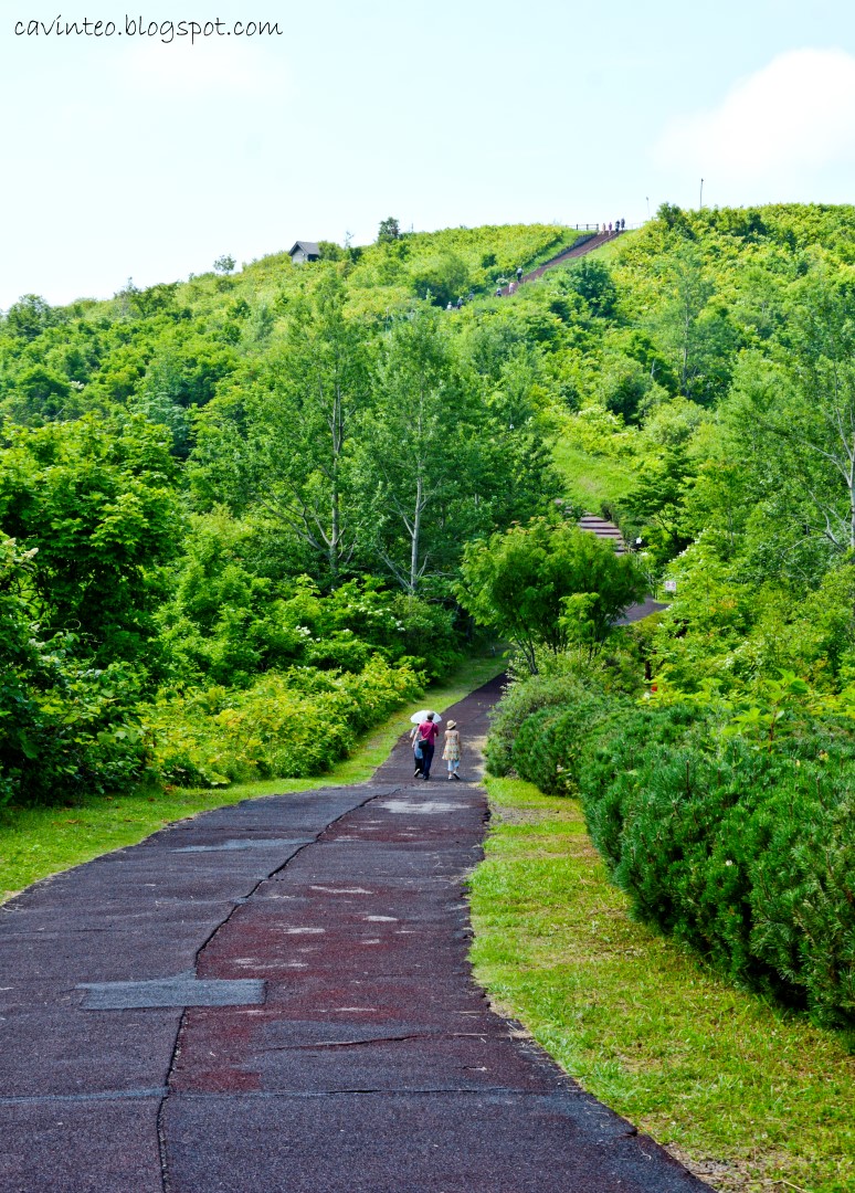 Entree Kibbles: Usuzan Ropeway & Toya Caldera and Usu Volcano UNESCO ...