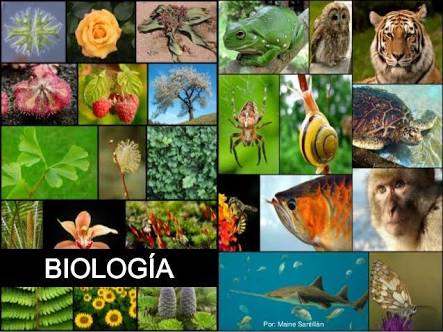 Enciclopedia Estudiantil: ¿Qué Es La Biología?