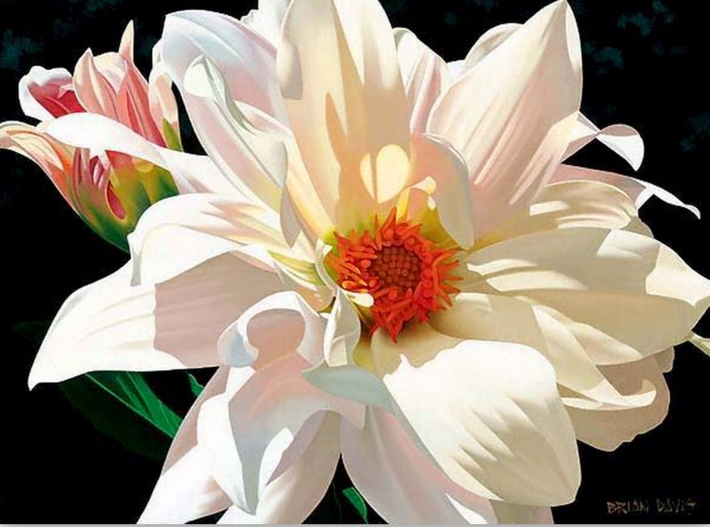 El arte es su máxima expresión : Flores Modernas Cuadros