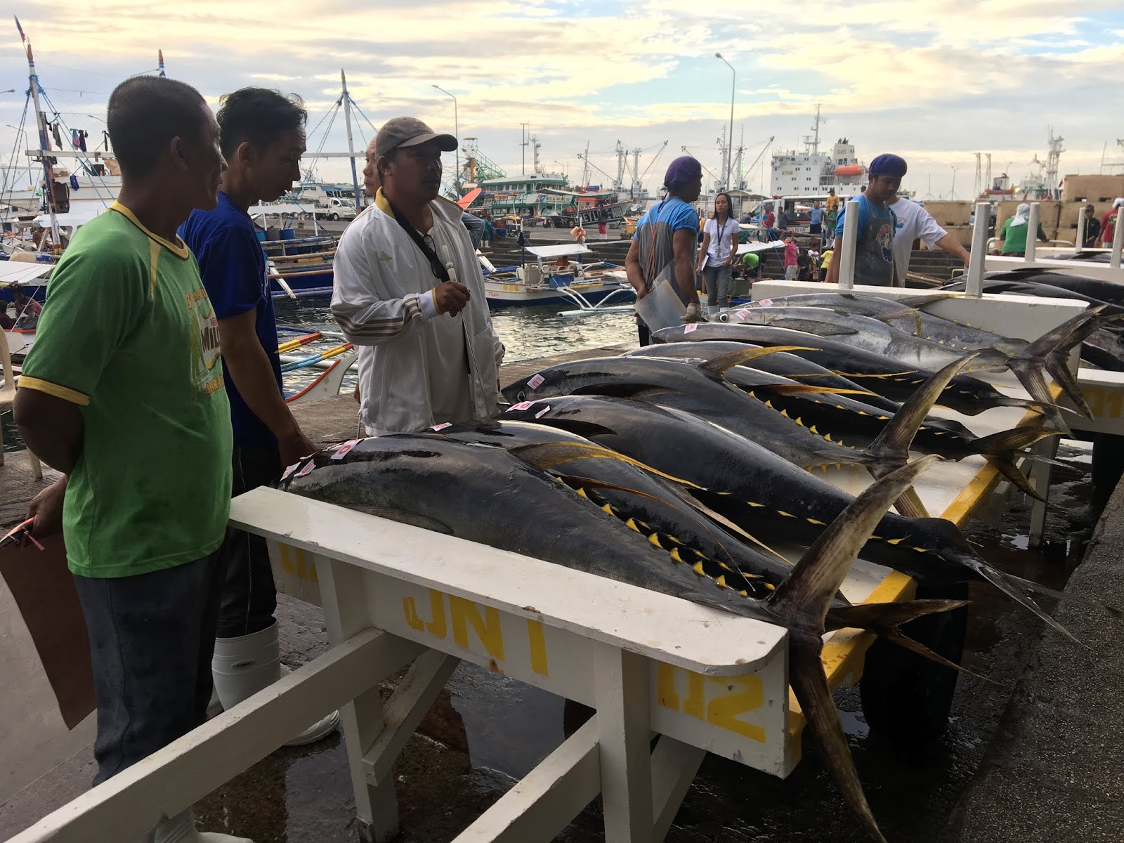 SOCCSKSARGEN Region : A Morning at GenSan's Fish Port Complex