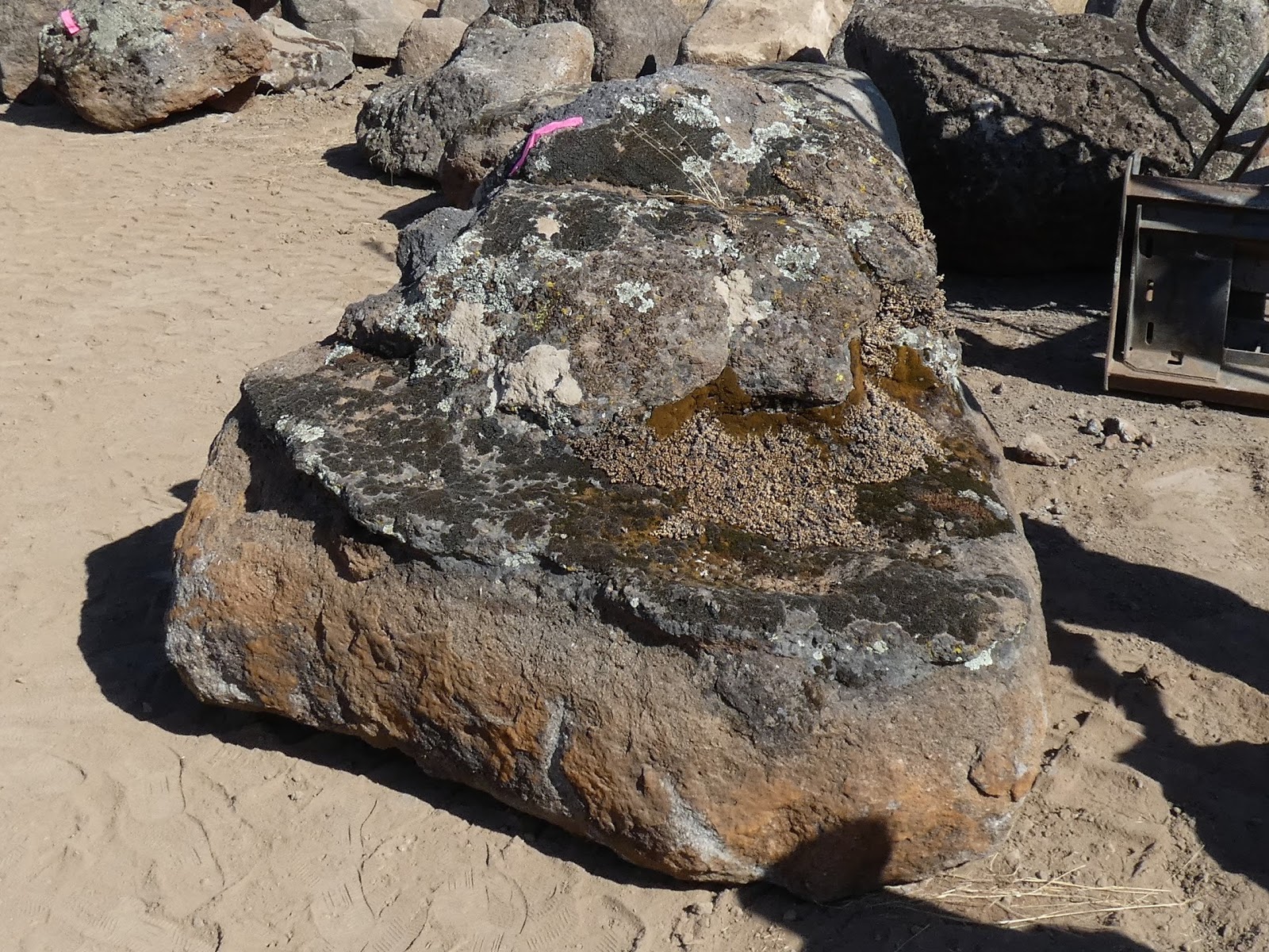 Geotripper: Wait a Minute...What Happened to the Rocks I Picked Out?