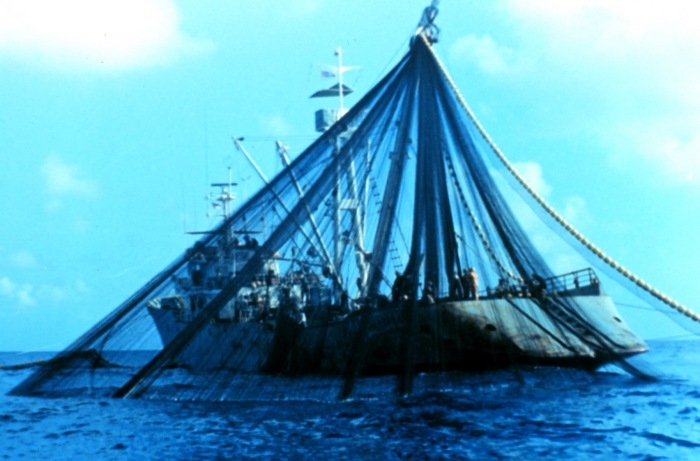 "Na natureza nada se cria, nada se perde, tudo se transforma": Poluição ...