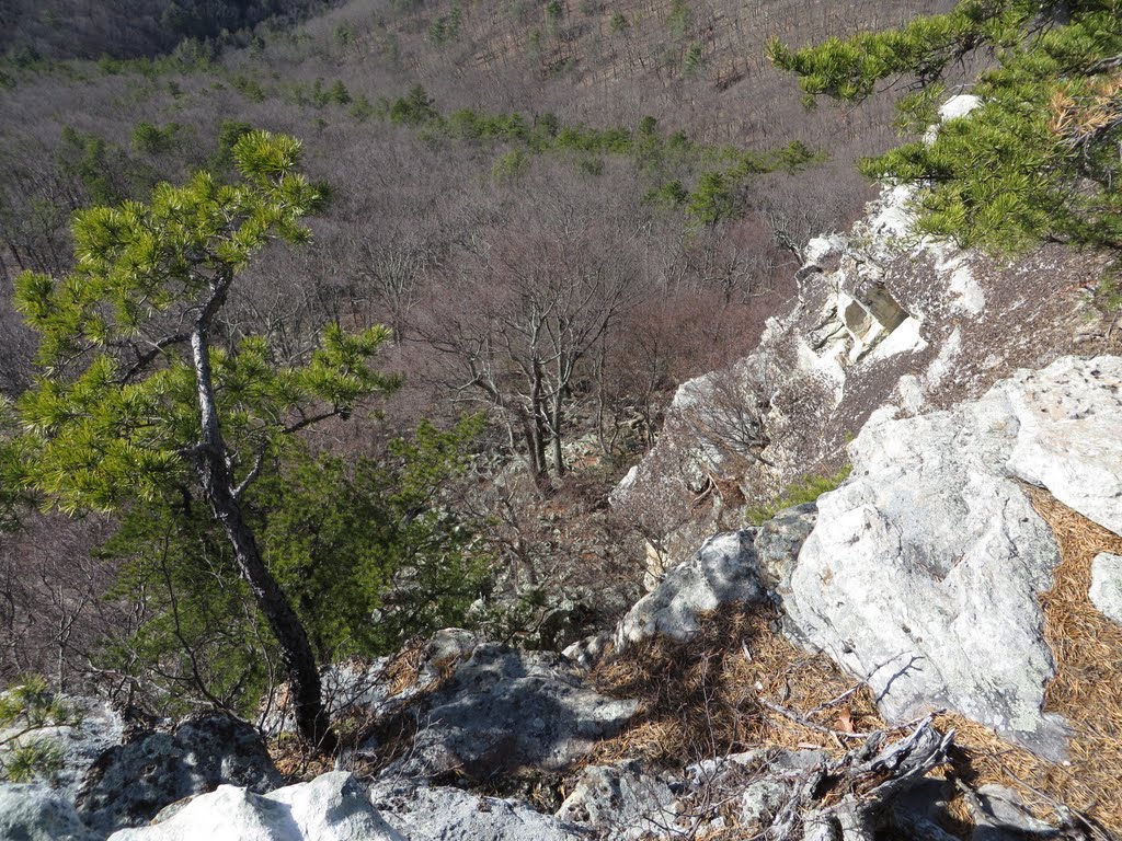 Skookum Traveler: Big Ridge and Cranny Crow (WV)