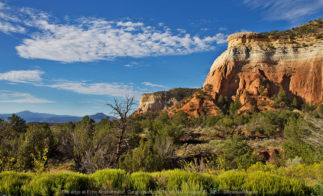 Bosque Bill's Backroads: Northern New Mexico, featuring Carson National ...