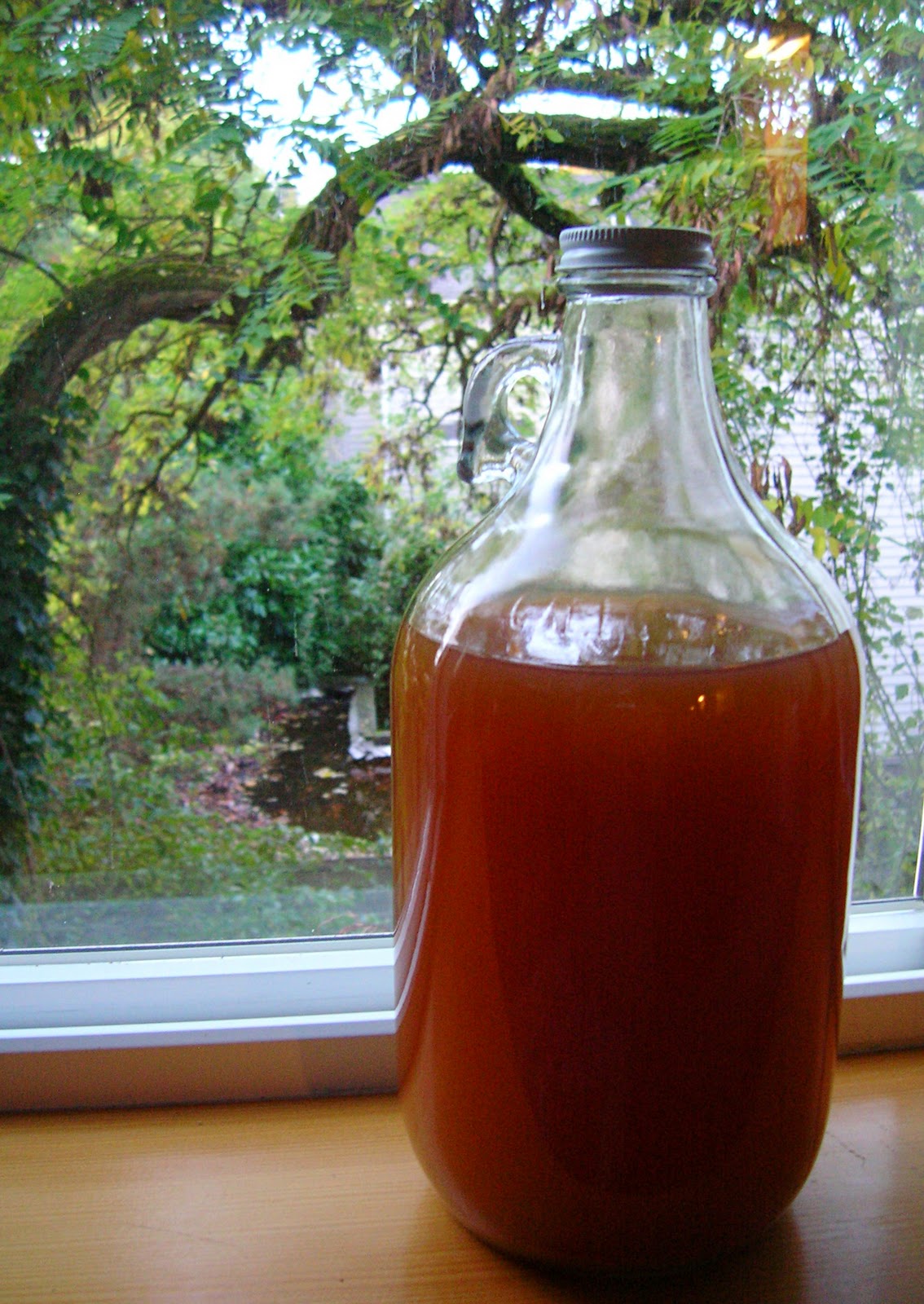 Beyond Celery: Ginger Apple Cider