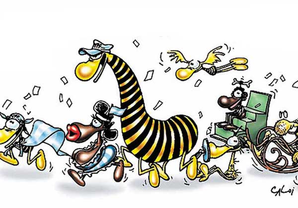 TODO CLEMENTE: ¿ que es un clemente