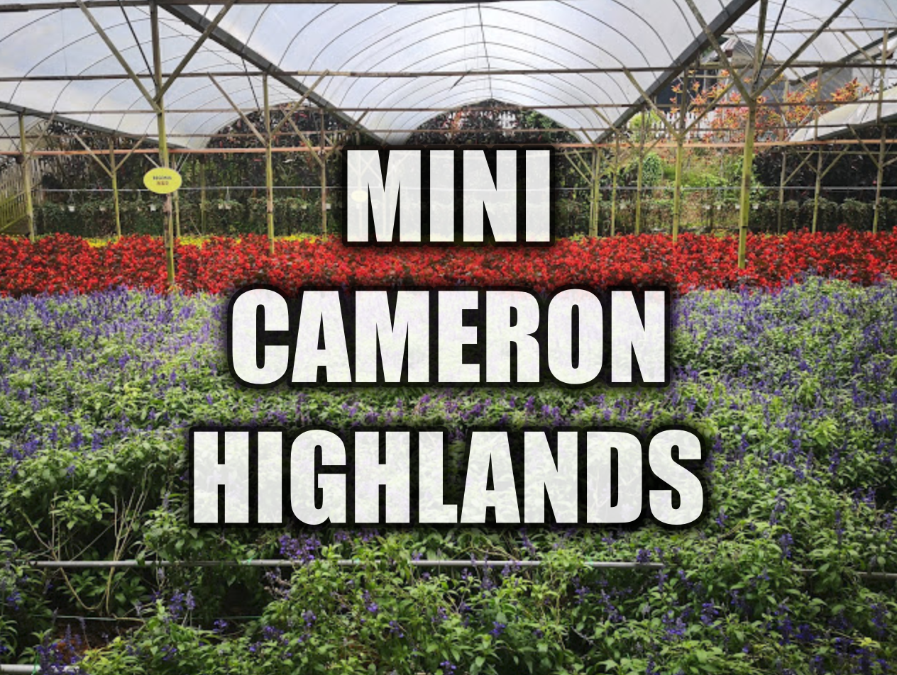 MINI CAMERON HIGHLANDS, GENTING HIGHLANDS - Hi5 the world