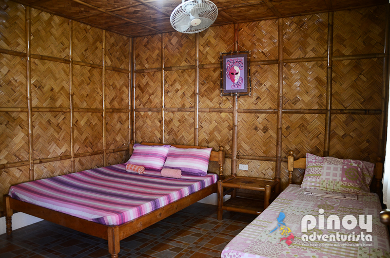 BEACH RESORTS IN DONSOL, SORSOGON: Amor Farm Beach Resort | Blogs ...